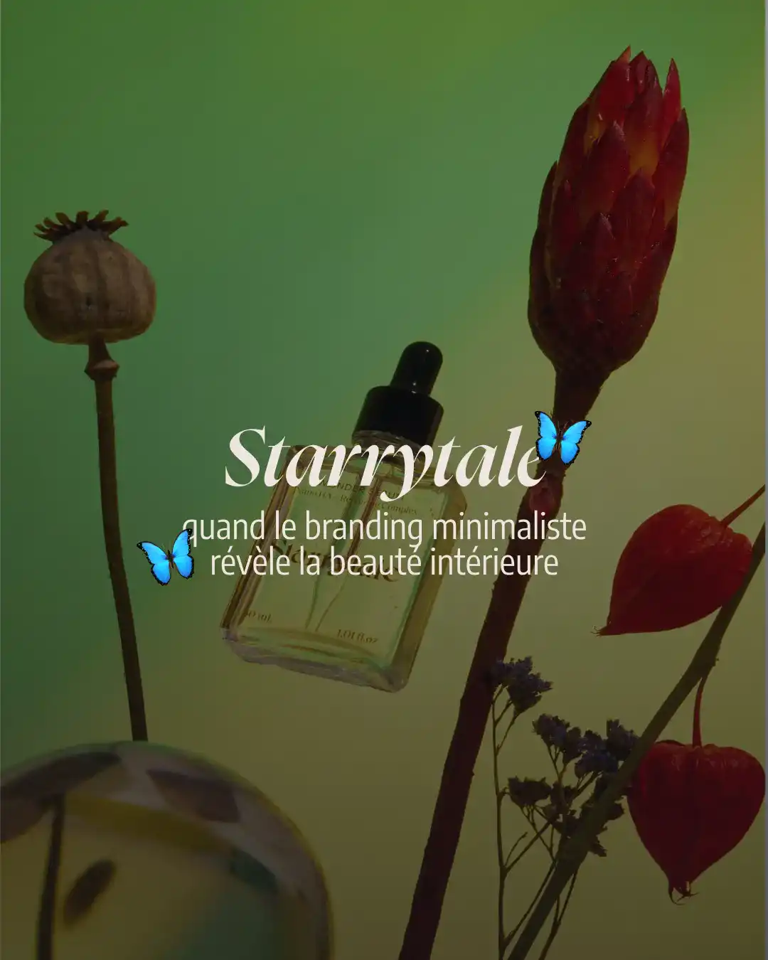 Starrytale : une marque cosmétique féérique et sensorielle | Lunéa Studio